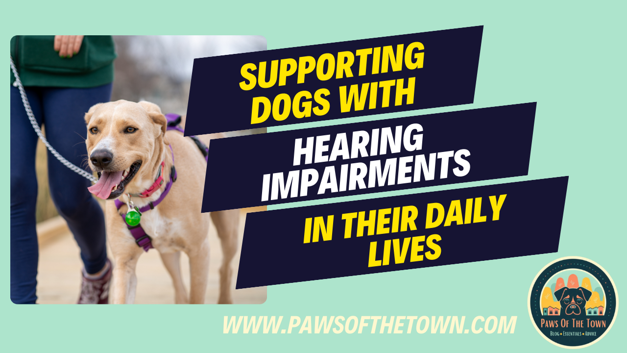 Supporting Dogs with Hearing Impairments in Their Daily Lives | Paws of ...